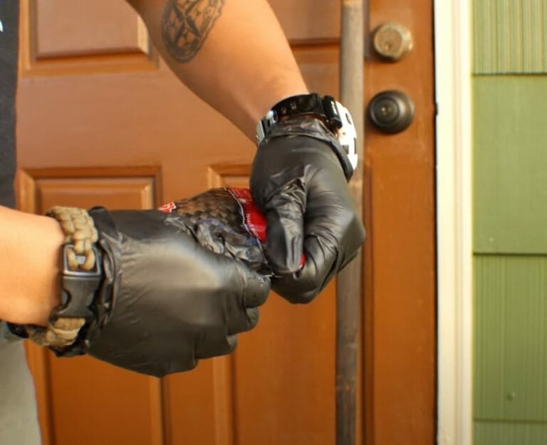 How To Repair A Bow (10+ Steps To Follow)